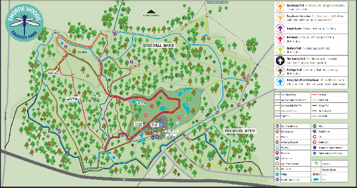 Shorne Woods Country Park :: Days out with an autistic child